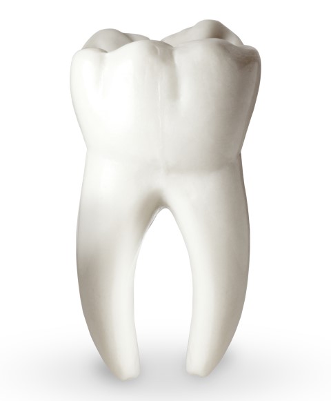 Treatment Options after Tooth Extraction Treatment Options after Tooth Extraction